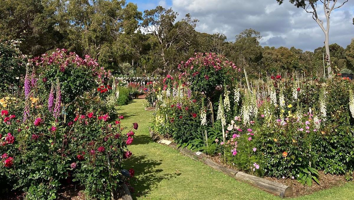 Melville's Rose n Garden - NGIWA